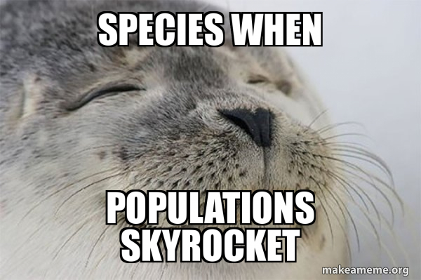 Species when populations skyrocket - Satisfied Seal | Make a Meme