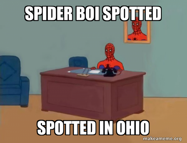 SPIDER BOI SPOTTED SPOTTED IN OHIO - Spiderman Meme Generator