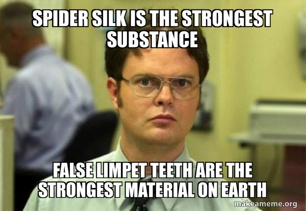 Spider silk is the strongest substance FALSE Limpet teeth are the ...