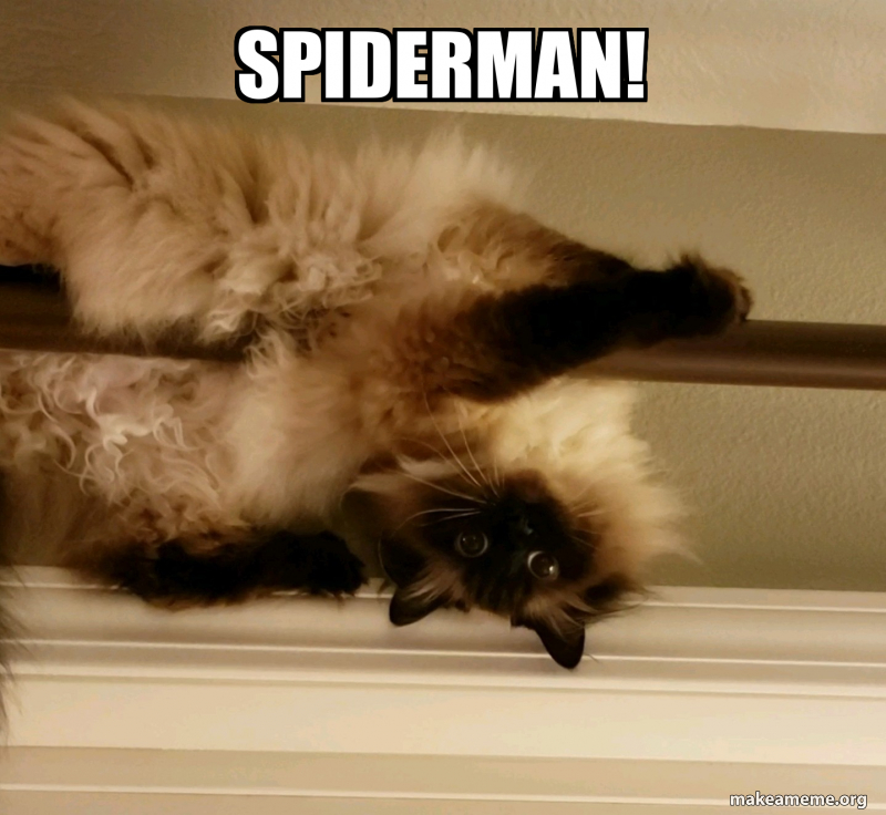 Spiderman! Meme Generator