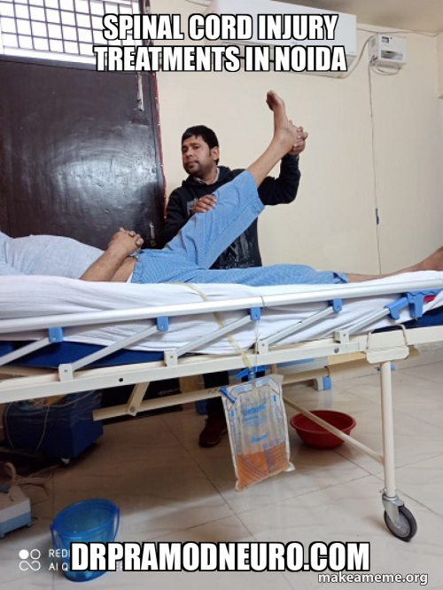 Spinal cord injury treatments In Noida drpramodneuro.com Meme Generator