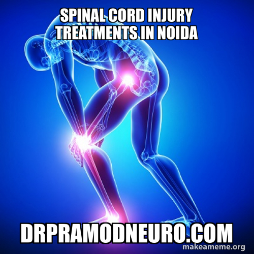 Spinal cord injury treatments In Noida drpramodneuro.com Meme Generator