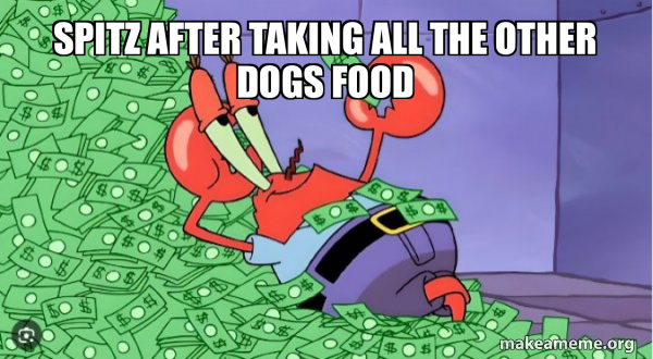 Spitz after taking all the other dogs food - Mr Krabs Money Meme Generator