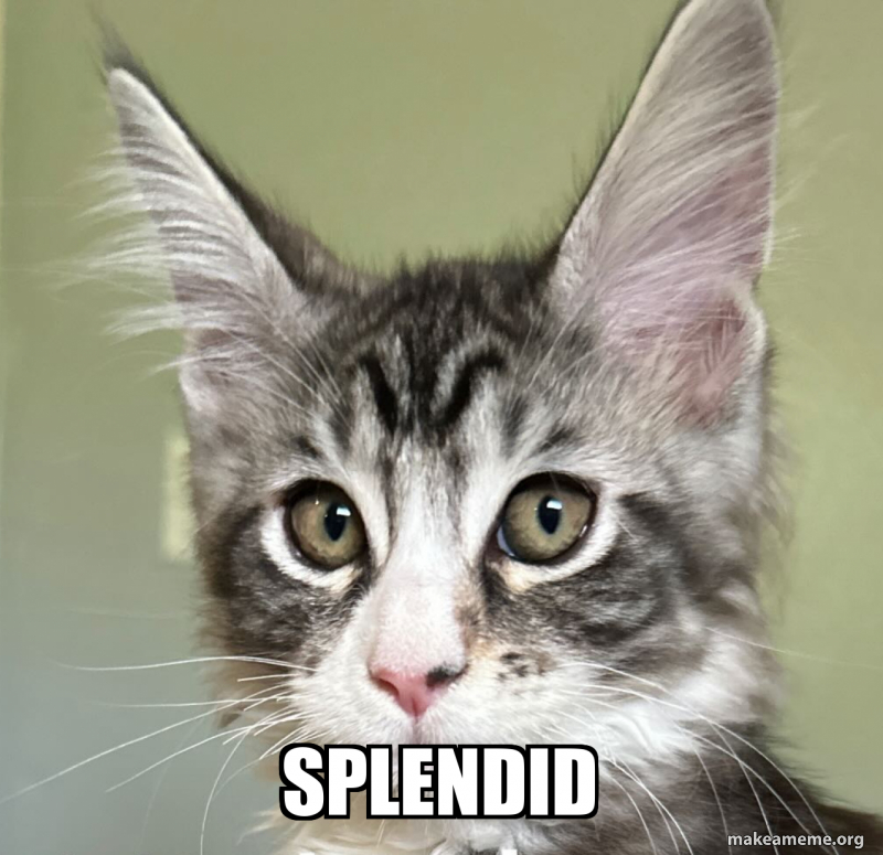 Splendid Meme Generator