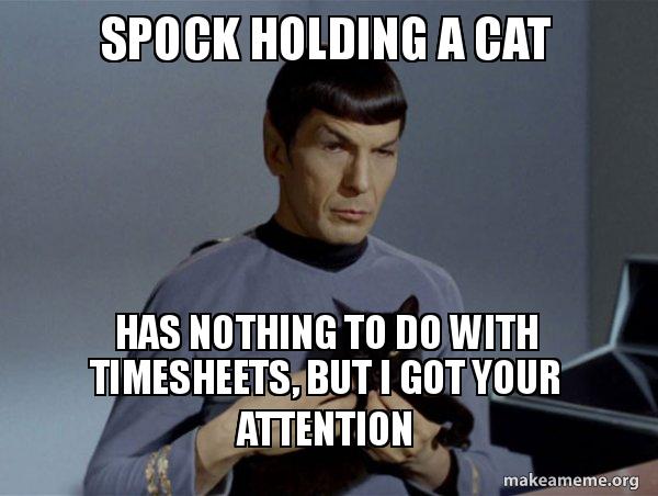 spock holding a cat has nothing to do with timesheets, but i got your ...