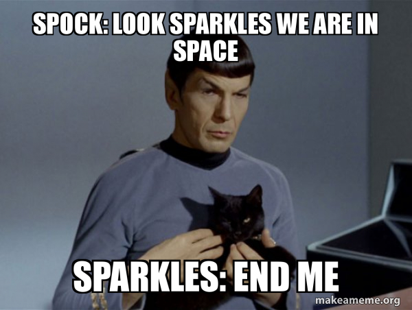 spock: look sparkles we are in space sparkles: end me - Spock and Cat Meme Meme Generator