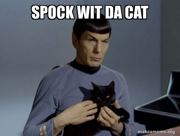 SPOCK WIT DA CAT - Spock and Cat Meme Meme Generator