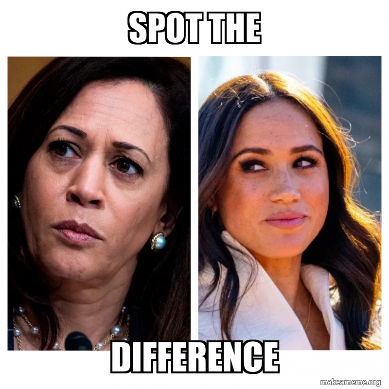 Spot the difference Meme Generator