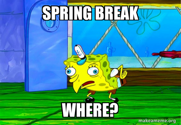 spring break where? - Mocking SpongeBob Meme Generator