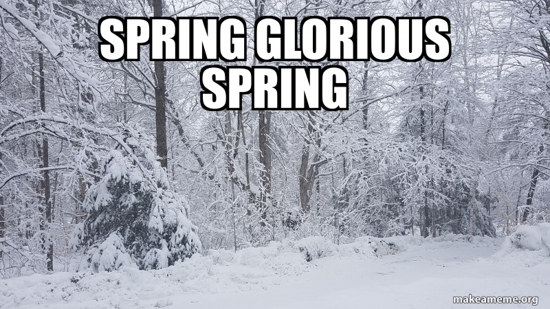 Spring glorious spring Meme Generator