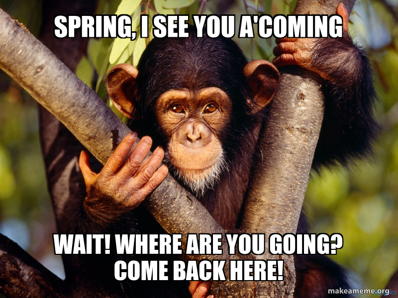 Spring, I see you a'coming Wait! WHERE ARE you going? Come back here ...