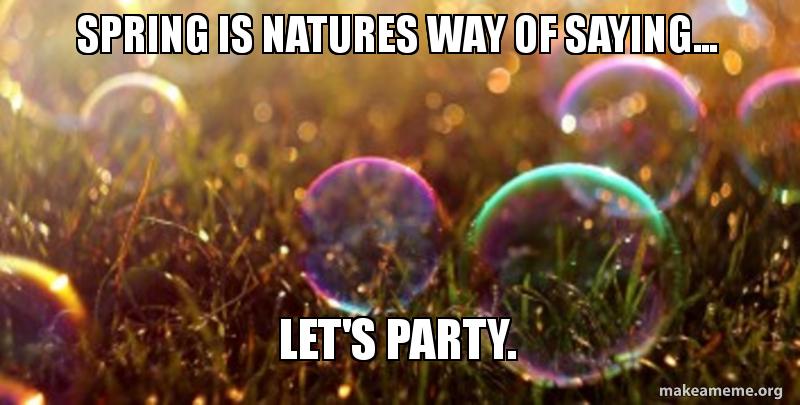 Spring is natures way of saying... Let's party. - '[; Meme Generator