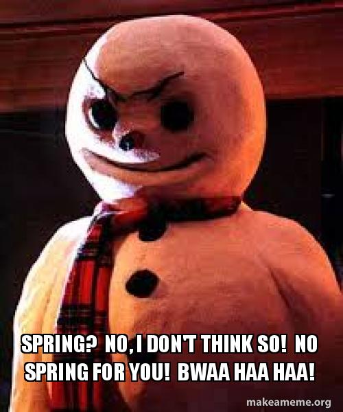 Spring? No, I don't think so! No spring for you! Bwaa Haa Haa! Meme ...