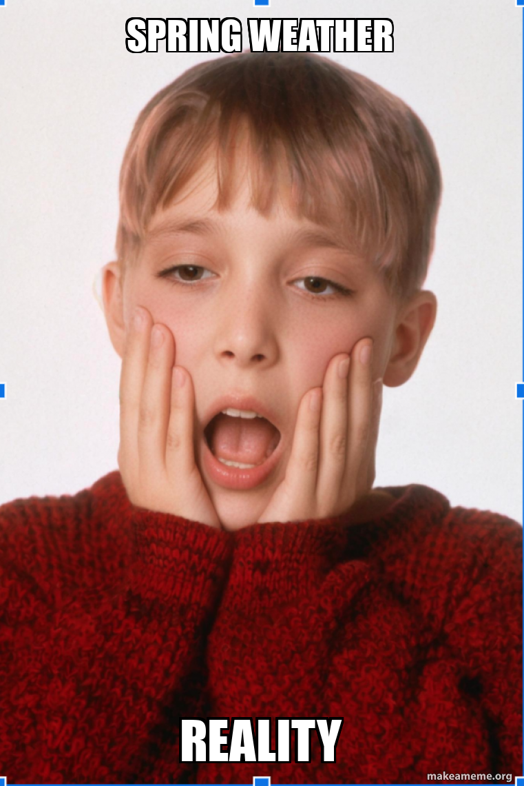 Spring Weather Reality Meme Generator