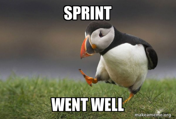 sprint went well - Unpopular Opinion Puffin Meme Generator
