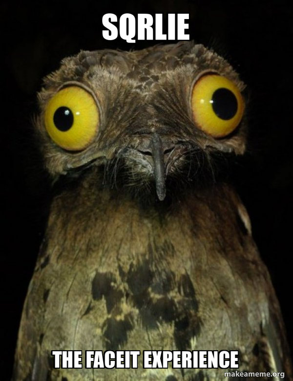 sQrlie The faceit experience - Weird Stuff I do Potoo Meme Generator