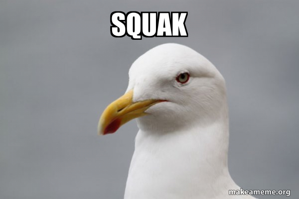 squak - Stuff That Didn't Happen Seagull Meme Generator