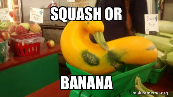 squash or banana - Gourd Advice Mallard Meme Generator
