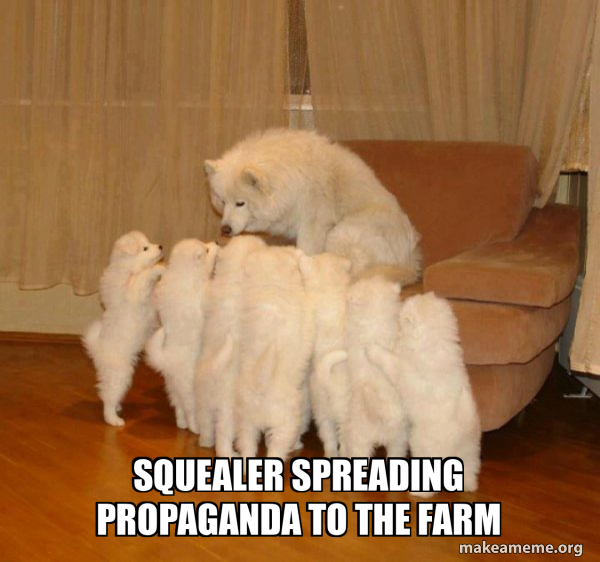 Squealer spreading propaganda to the farm - Storytelling Dog Meme Generator
