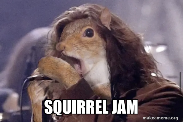 Squirrel jam Meme Generator