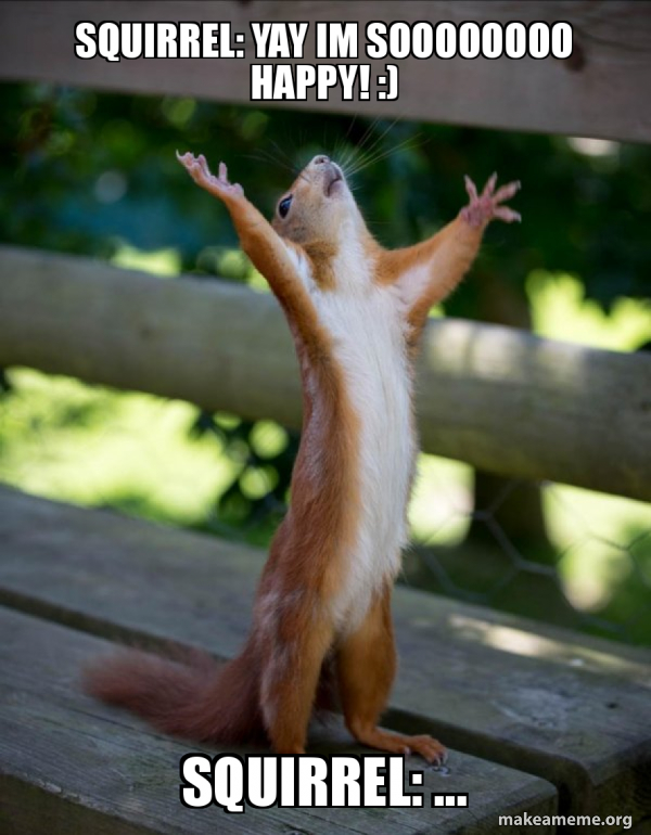 squirrel: yay im soooooooo happy! :) squirrel: ... - Happy Squirrel ...