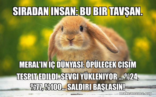 sıradan insan: bu bir tavşan. meral'in iç dünyası: öpülecek cisim ...