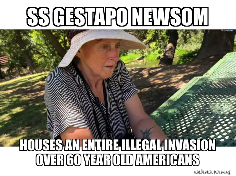 SS GESTAPO NEWSOM HOUSES AN ENTIRE ILLEGAL INVASION OVER 60 YEAR OLD AMERICANS Meme Generator