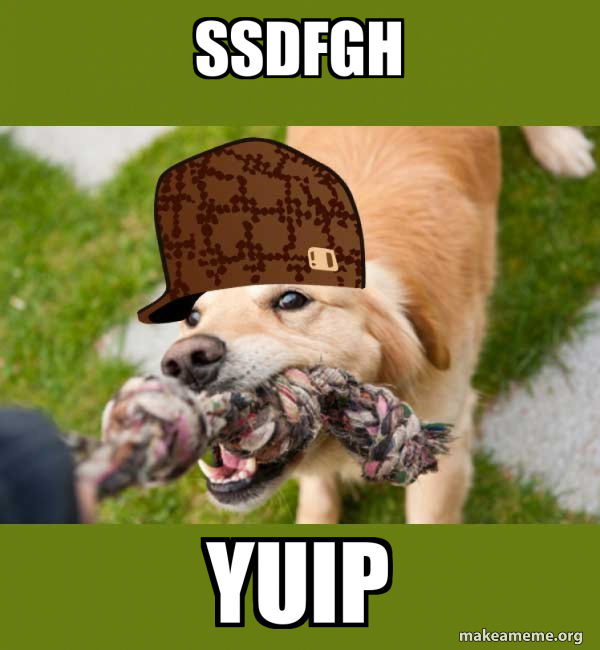 ssdfgh yuip - Scumbag dog Meme Generator