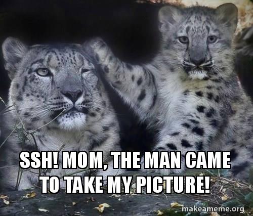 SSH! Mom, the man came to take my picture! Meme Generator