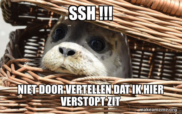 SSH !!! niet door vertellen dat ik hier verstopt zit - Impending Doom ...