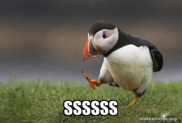 ssssss - Unpopular Opinion Puffin Meme Generator