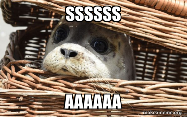 ssssss aaaaaa - Impending Doom Seal Meme Generator