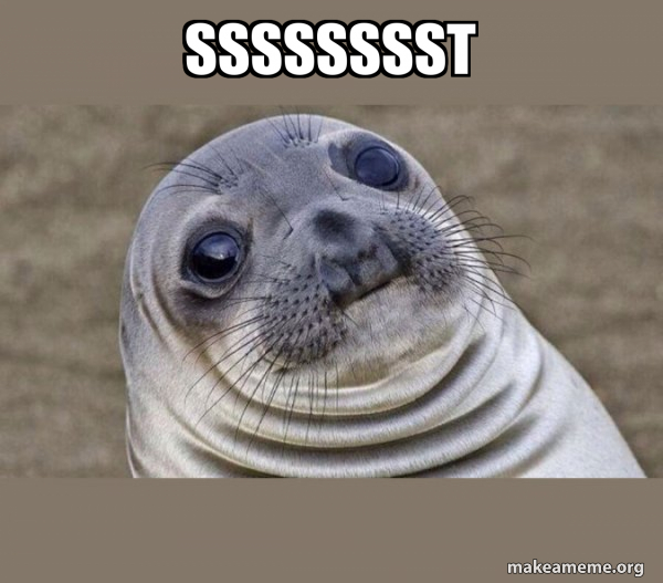 Sssssssst - Squeamish Seal Meme Generator