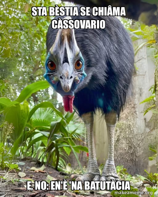 sta bèstia se chiâma càssovario e, no: en'è 'na batutàcia Meme Generator