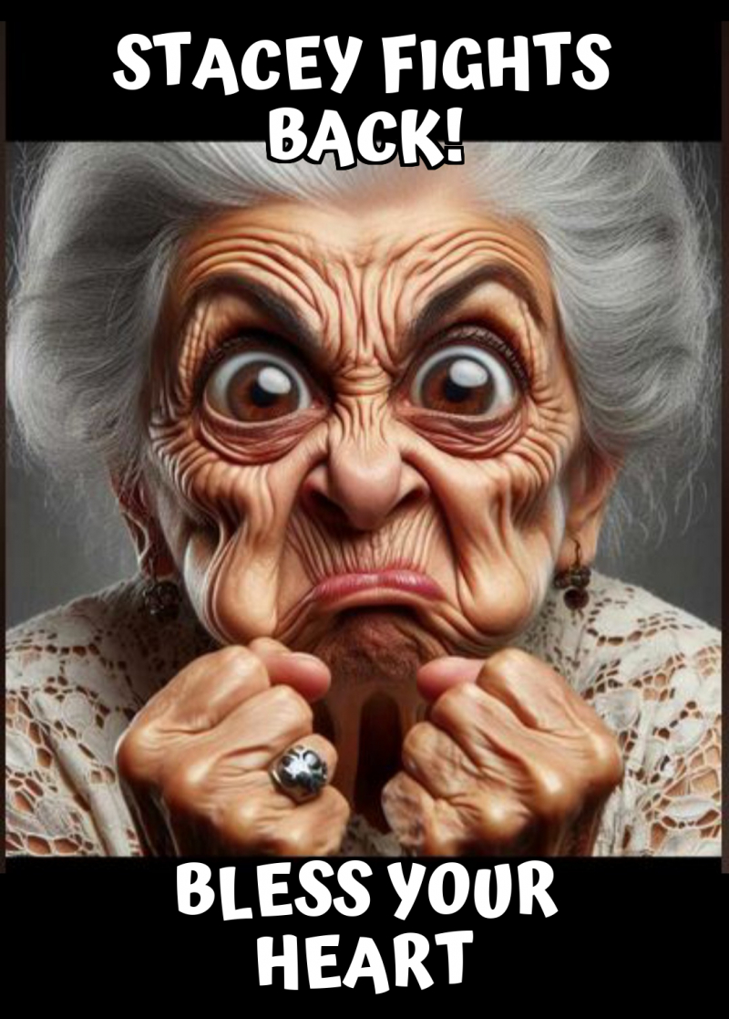 Stacey fights back! Bless your heart Meme Generator