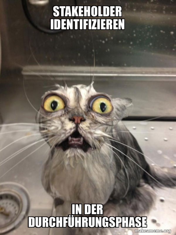Stakeholder identifizieren in der Durchführungsphase - Cat bath Meme ...