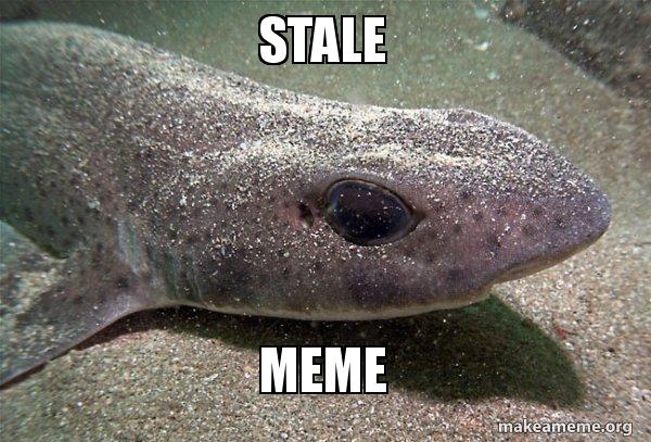 Stale Meme - Dirty Joke Dogfish Meme Generator