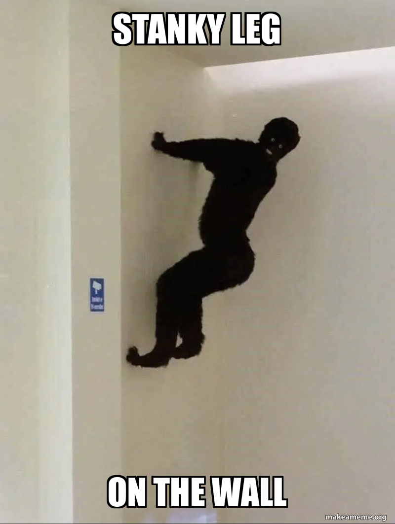 STANKY LEG ON THE WALL Meme Generator