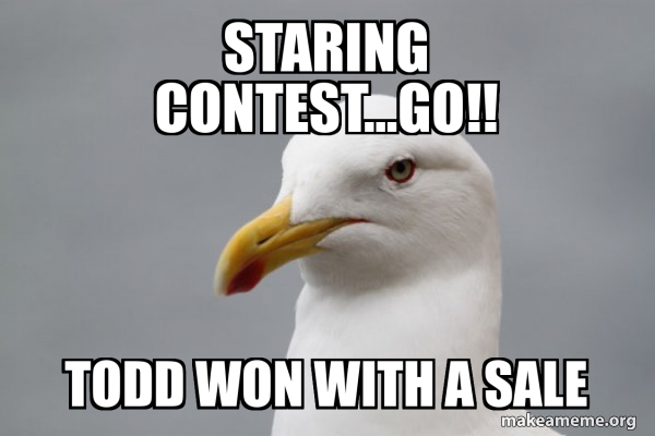 staring contest...GO!! Todd won with a sale - Stuff That Didn't Happen ...