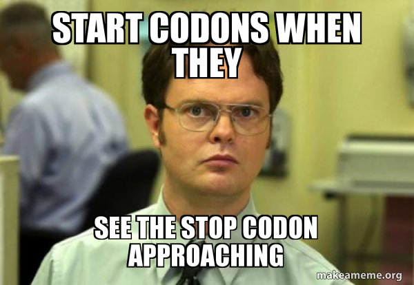 START CODONS WHEN THEY SEE THE STOP CODON APPROACHING - Schrute Facts ...