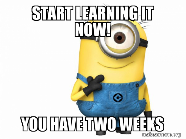 Start learning it now! You have two weeks - Thoughtful Minion Meme ...