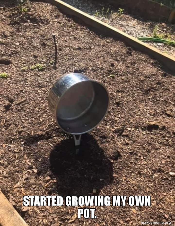Started growing my own pot. Meme Generator