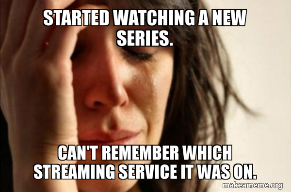 Started watching a new series. Can't remember which streaming service ...