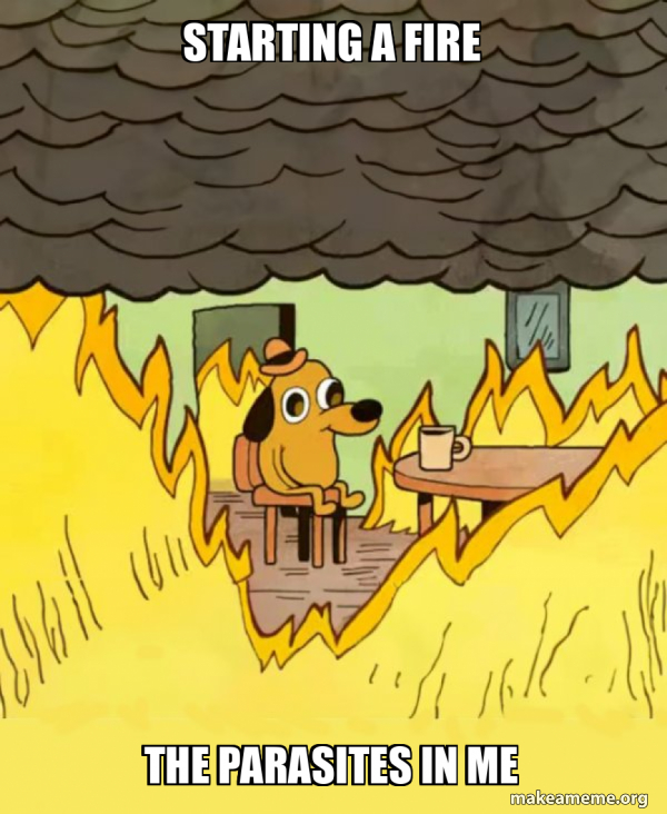 Starting a fire The parasites in me - This Is Fine Meme Generator