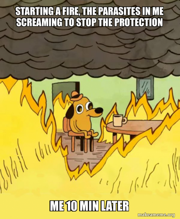 Starting a fire, the parasites in me screaming to stop the protection ...