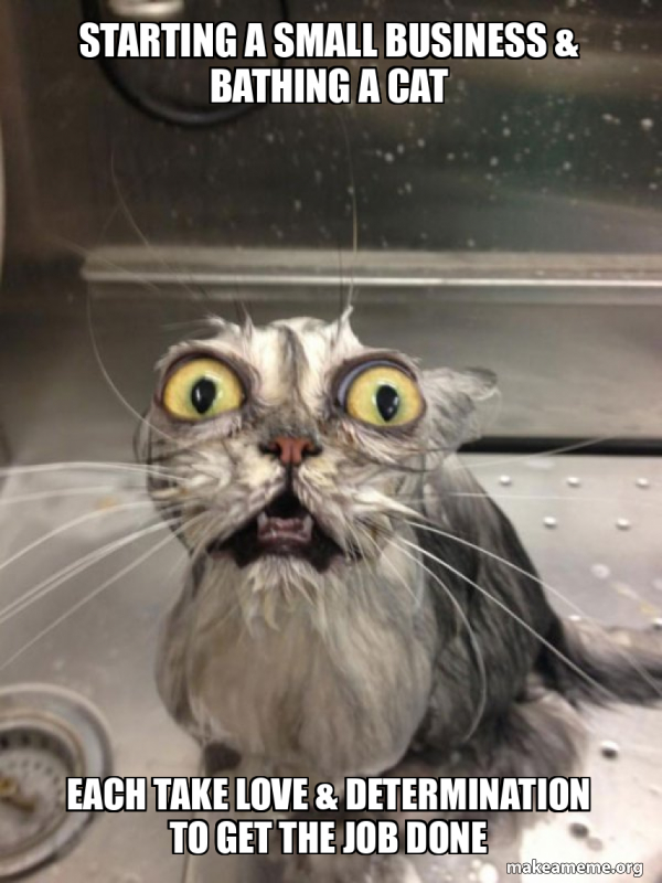 Starting a Small Business & Bathing a Cat Each take Love ...