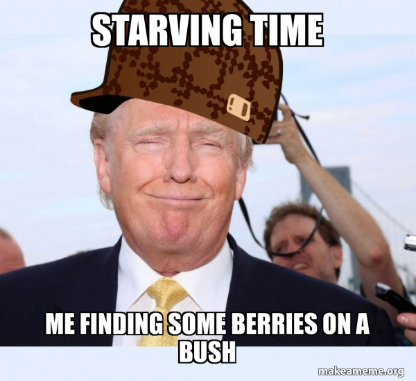 starving time me finding some berries on a bush - Scumbag Donald Trump ...