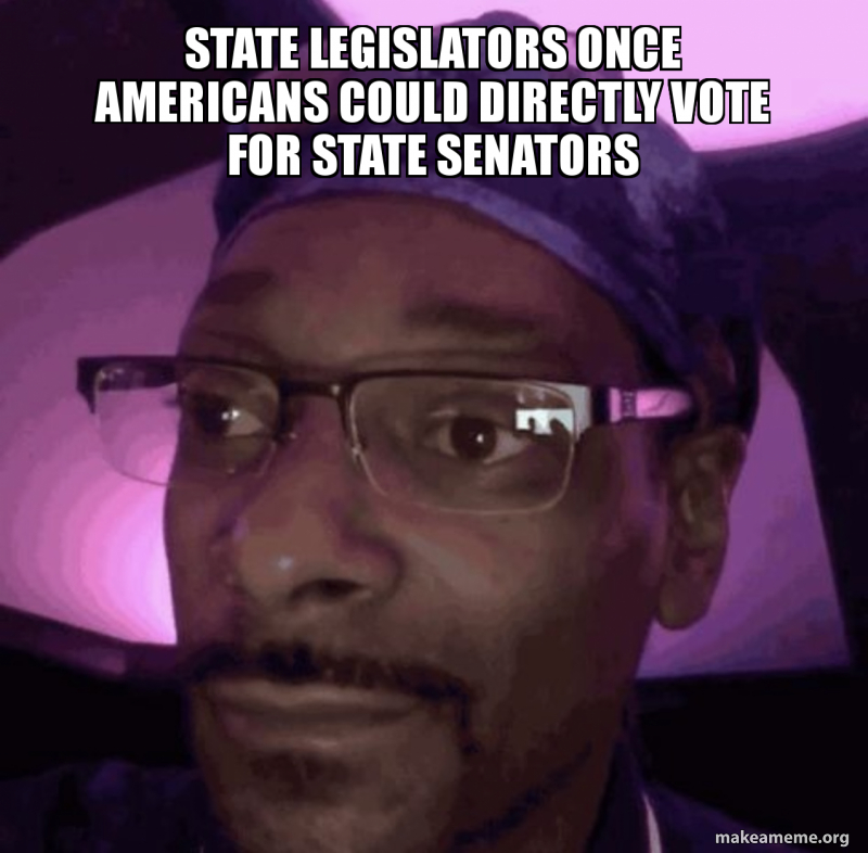 state legislators once americans could directly vote for state senators ...