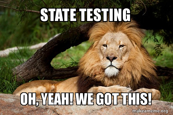 State Testing Oh, Yeah! We got this! - Contemplative Lion Meme Generator