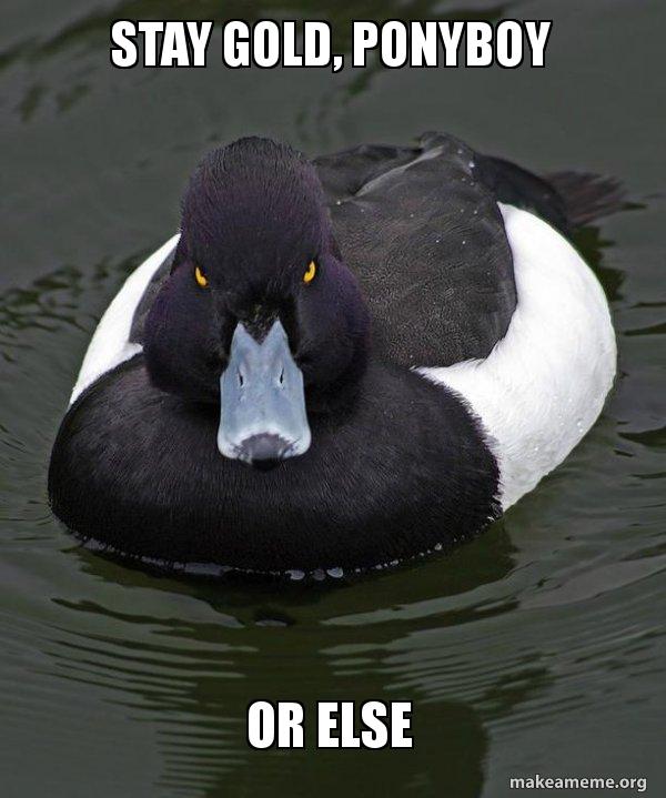 stay gold, ponyboy or else - Revenge Duck ( Angry Advice Duck ) Meme ...